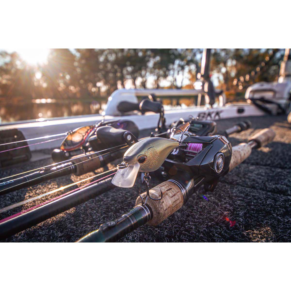 Nomad Panderra X8 Braid Multi 150yds | BCF