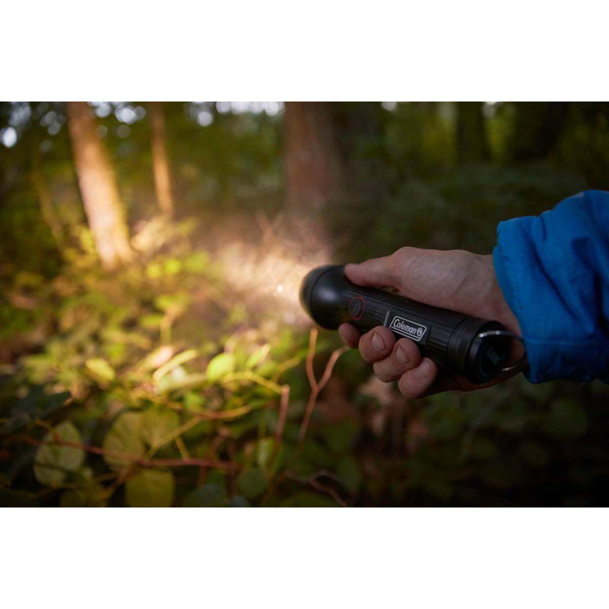 Coleman Classic 1500L Rechargeable Torch | BCF