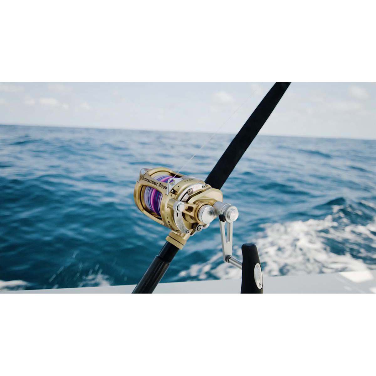 Nomad Panderra X8 Braid Multi 150yds | BCF