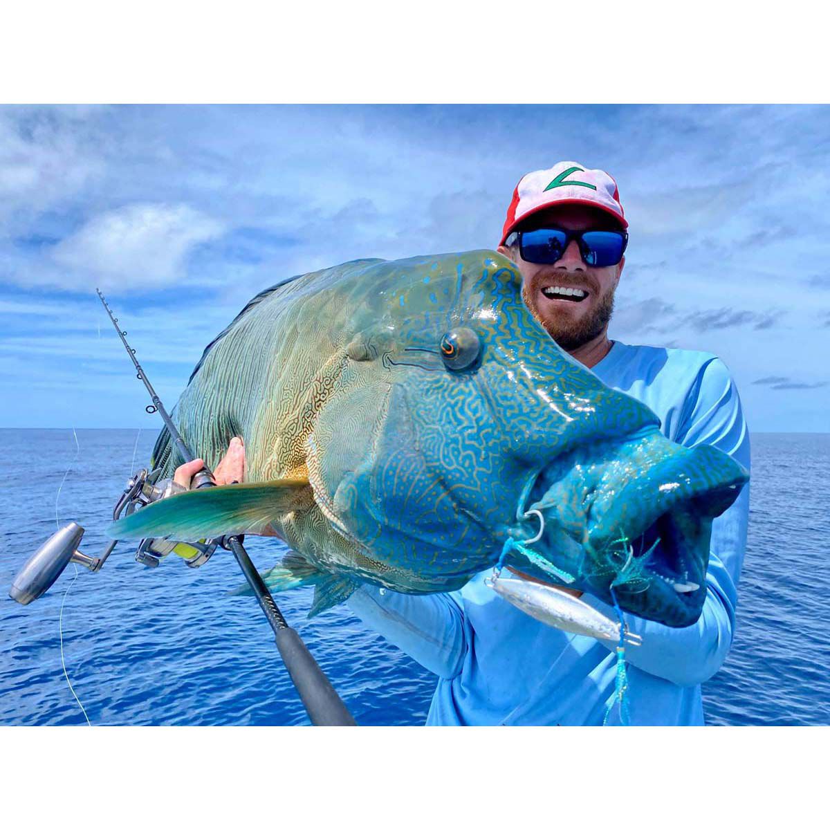 BKK Sea Ranger+ Assist Hook | BCF