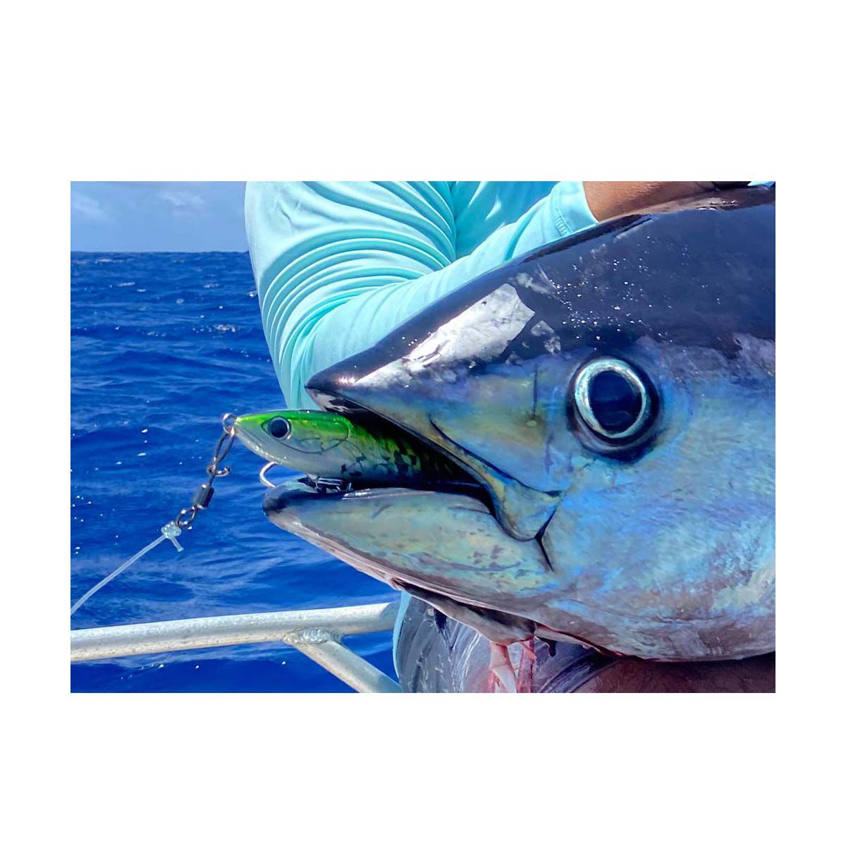 Ocean's Legacy Access Swivel | BCF