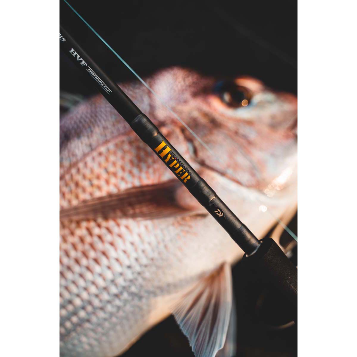 Daiwa 23 TD Hyper Spinning Rod | BCF
