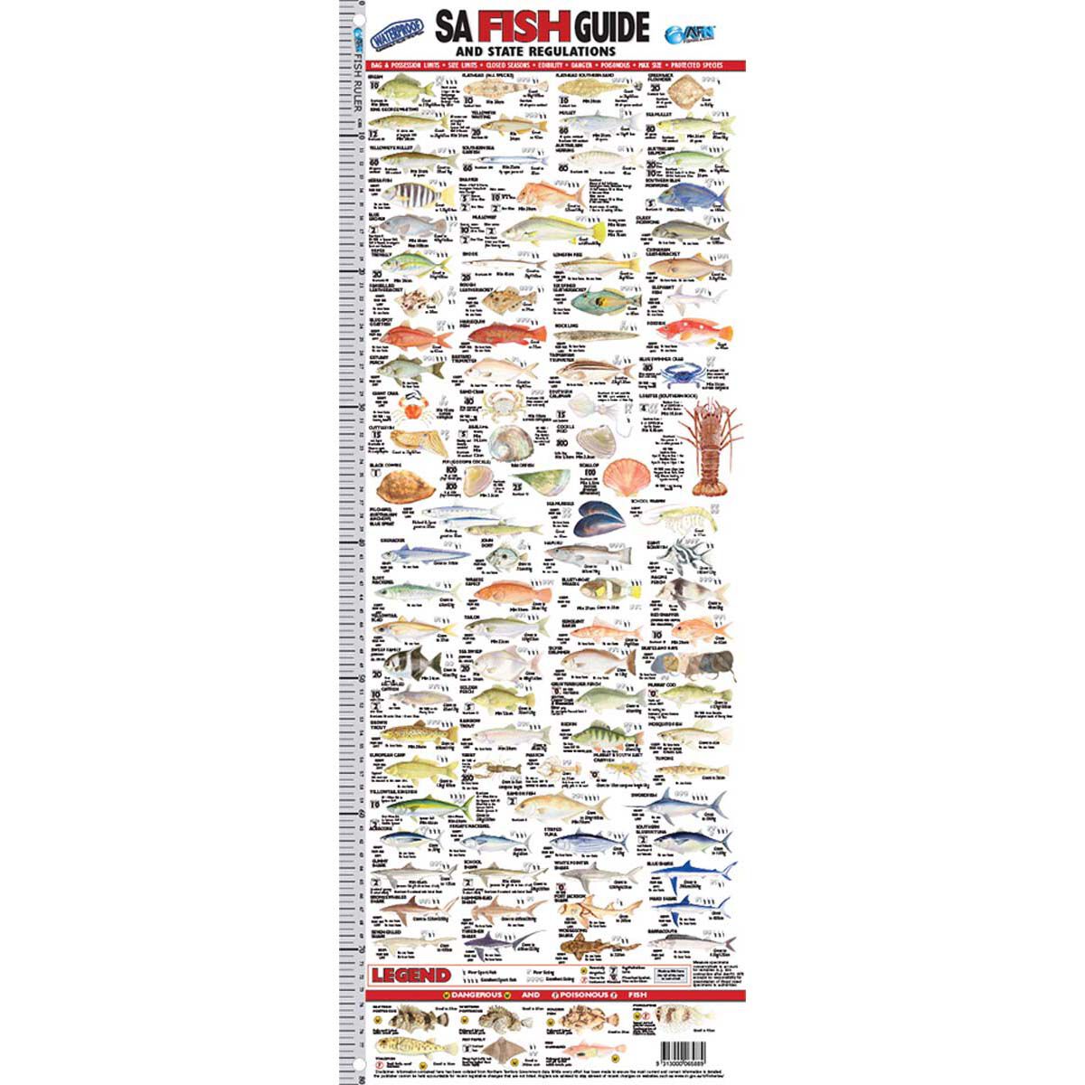 AFN Fish Ruler Guide SA | BCF