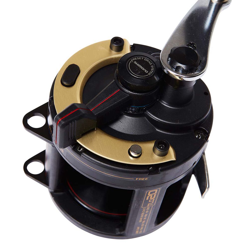 Shimano TLD 20 Overhead Reel | BCF