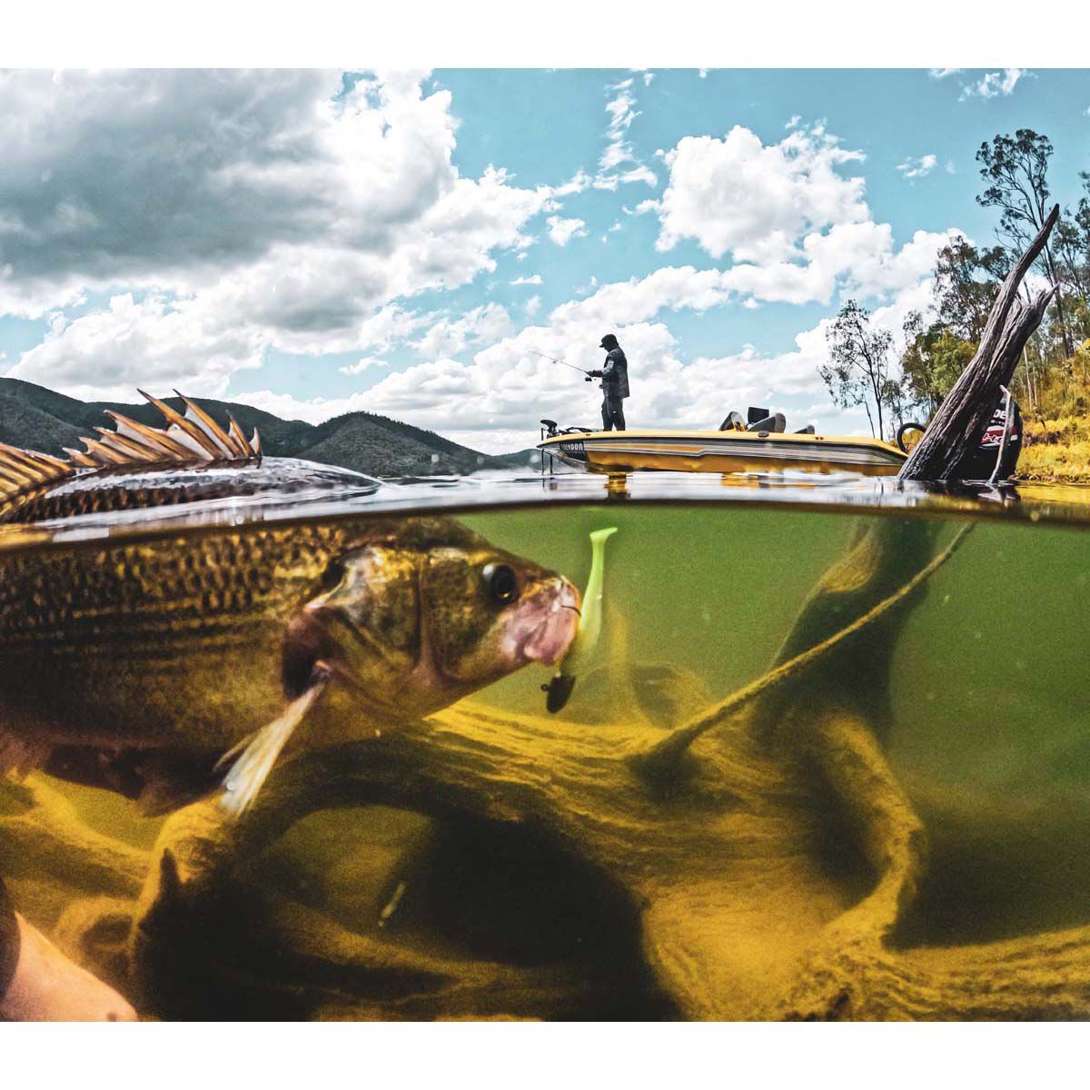 Rapala CrushCity Suspect Soft Plastic Lure 2.75in White Bait | BCF