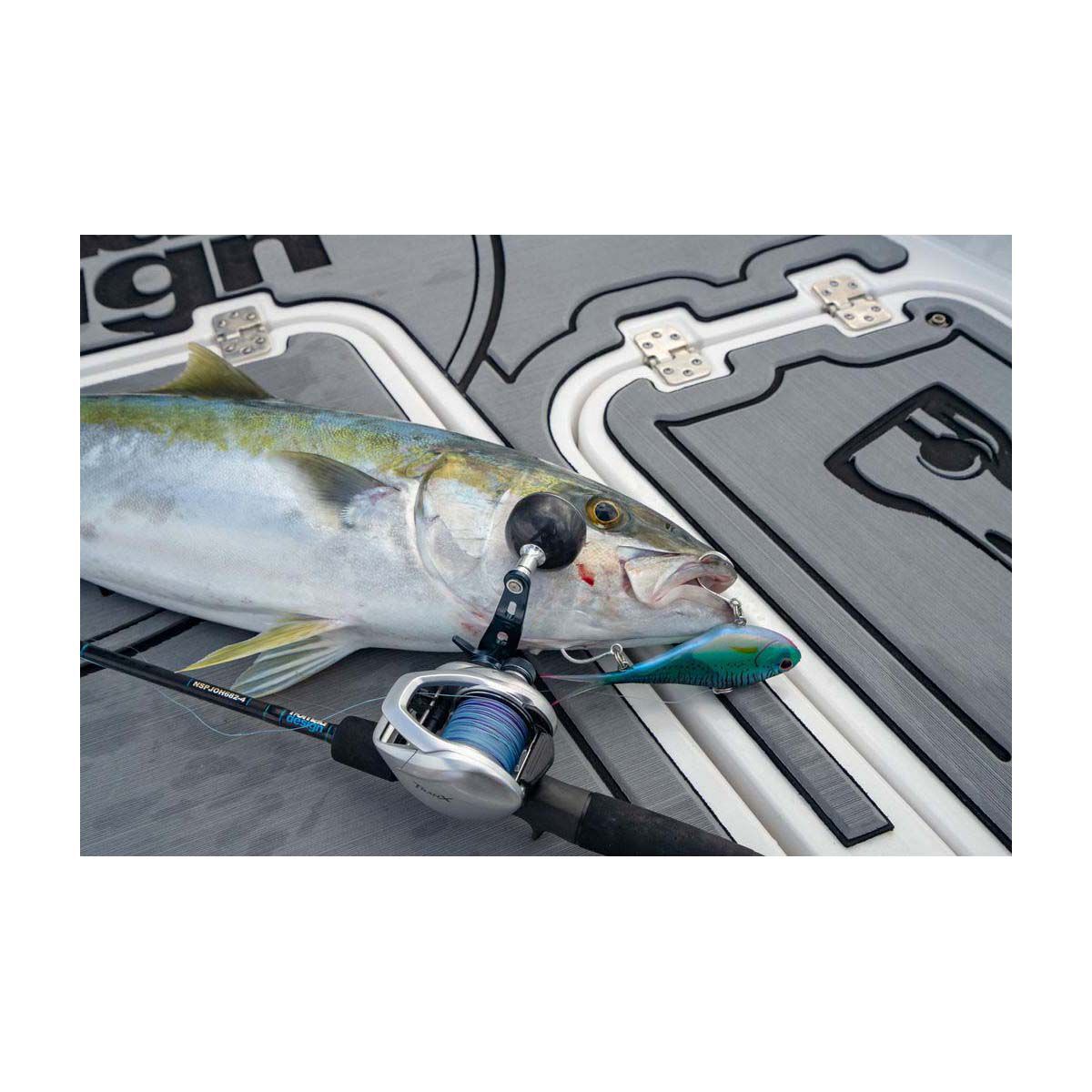 Nomad Panderra X8 Braid Multi 300yds | BCF