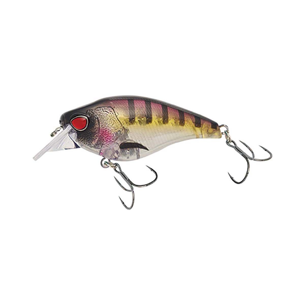 Nomad Atlas Crank Floating Hard Body Lure 55mm The Grunt | BCF