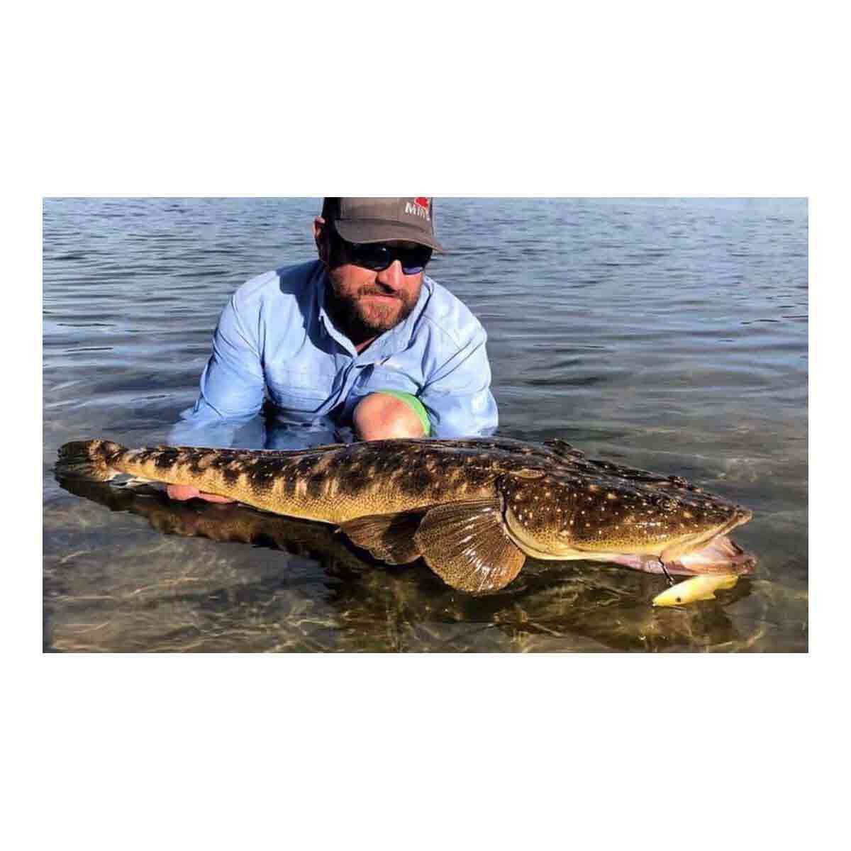 MMD Whiting Glide 180 Floating Glidebait 180mm Sand | BCF