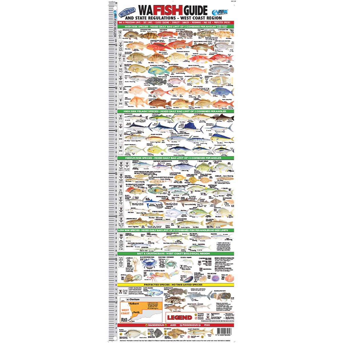 AFN Fish Ruler Guide WA | BCF