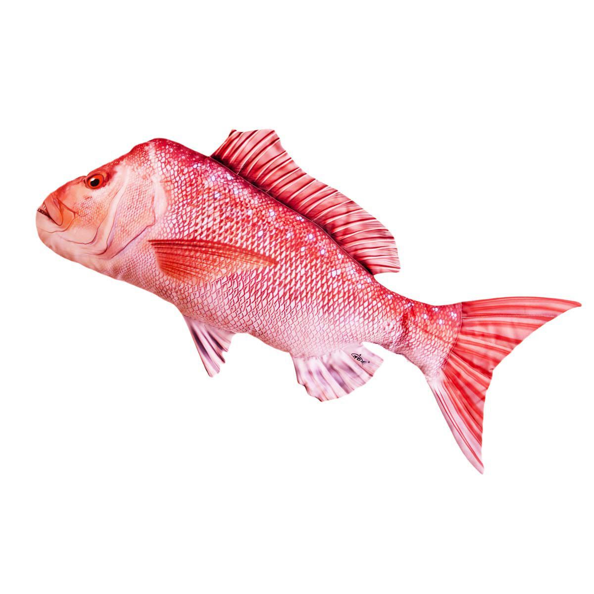 Boating, Camping and Fishing Store Online - BCF Australia