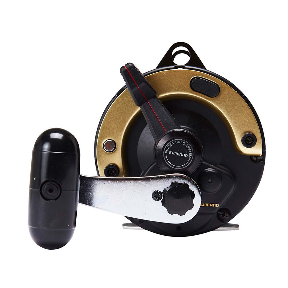 Shimano TLD 25 Overhead Reel | BCF