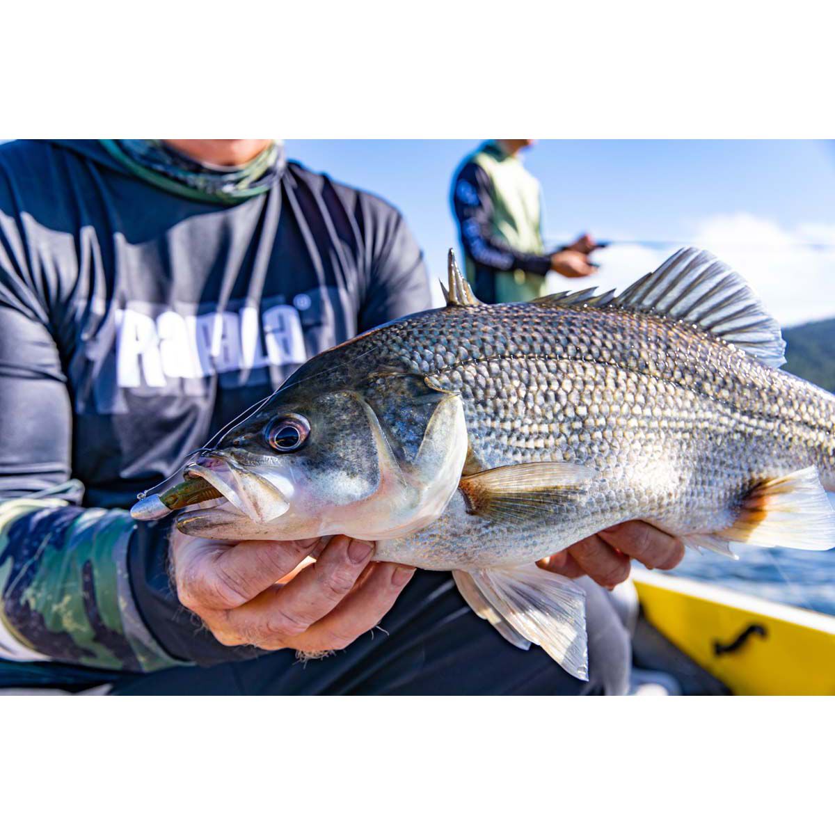 Rapala CrushCity Suspect Soft Plastic Lure 2.75in White Bait | BCF