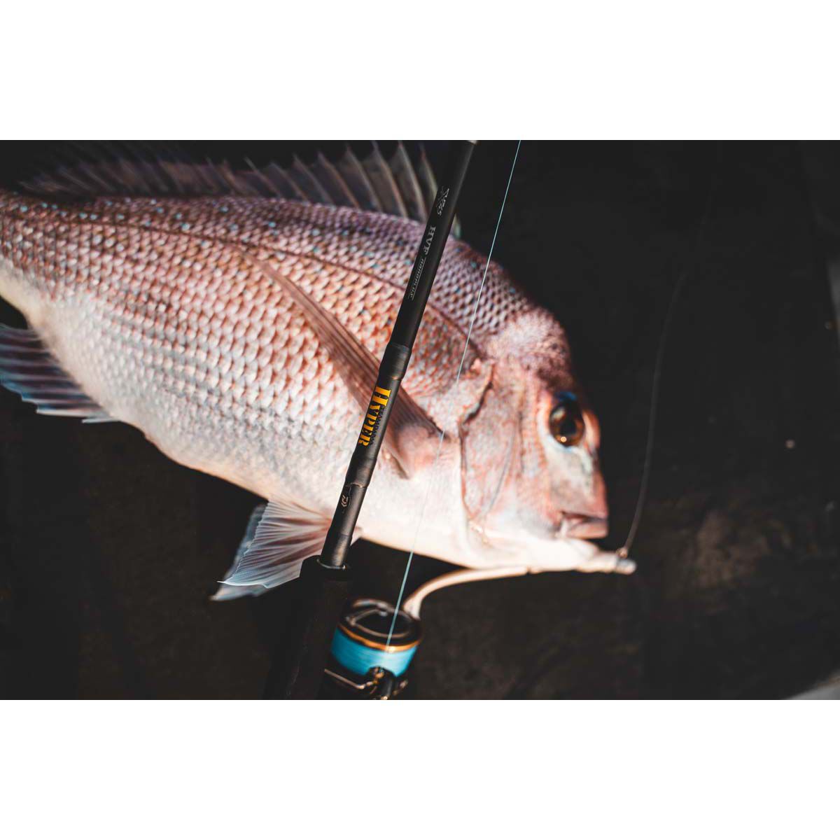 Daiwa 23 TD Hyper Spinning Rod | BCF