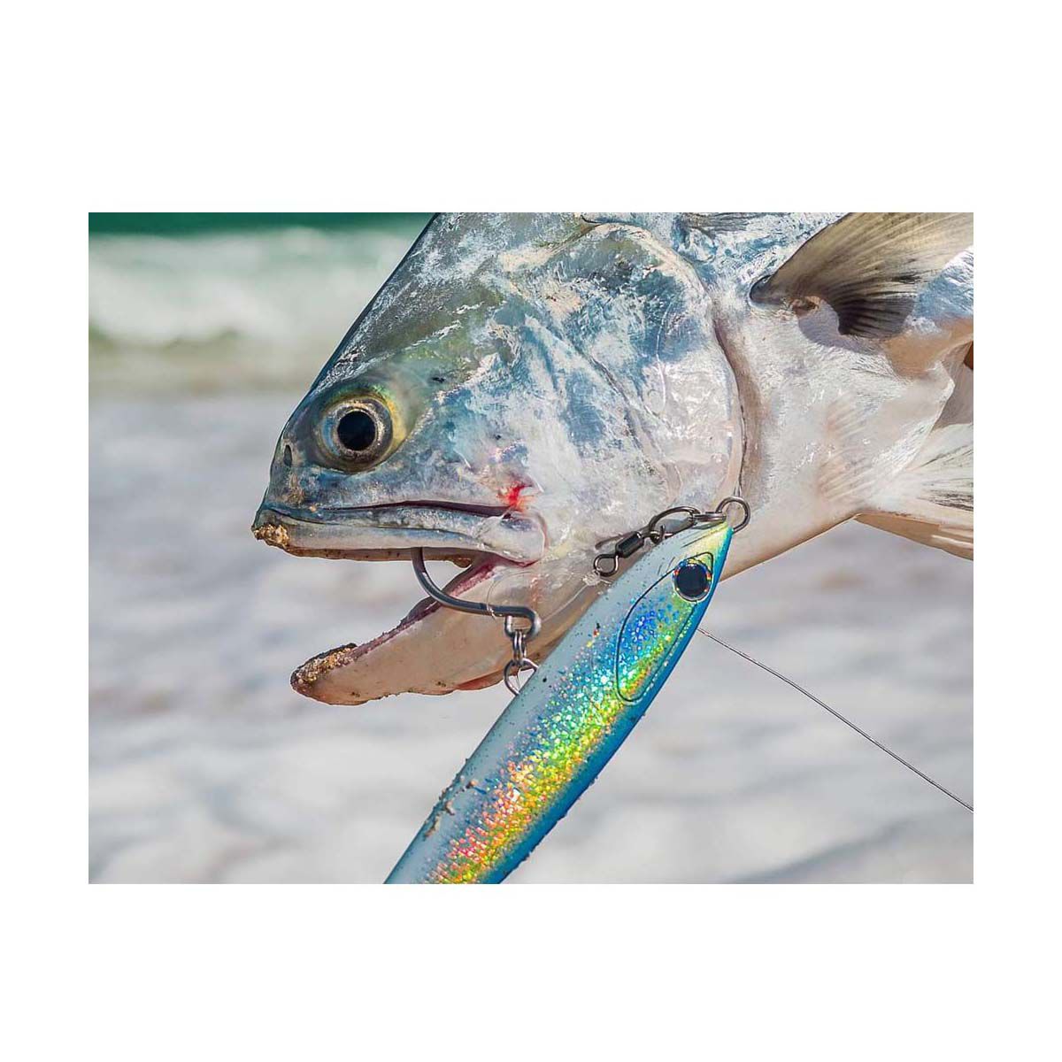 Ocean's Legacy Access Swivel | BCF