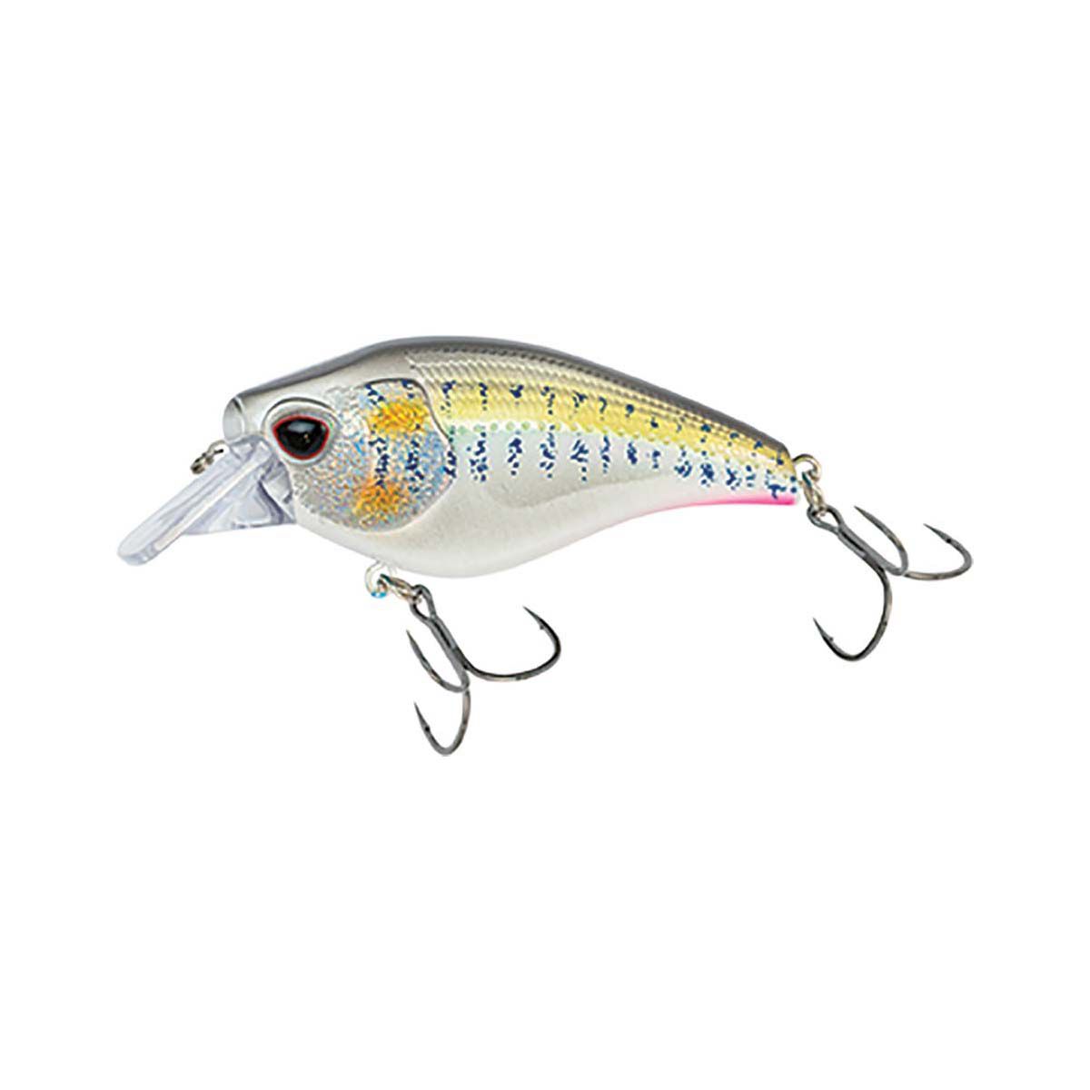 Nomad Atlas Crank Floating Hard Body Lure 55mm Threadfin Shad | BCF