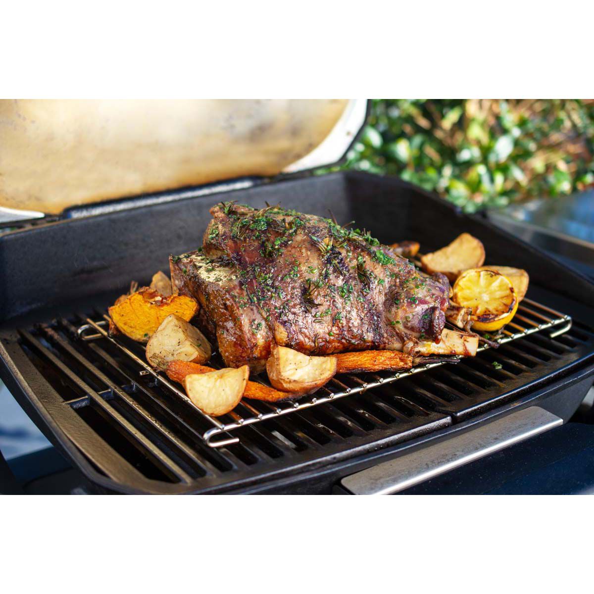 Weber Pulse 2000 Roasting Trivet | BCF