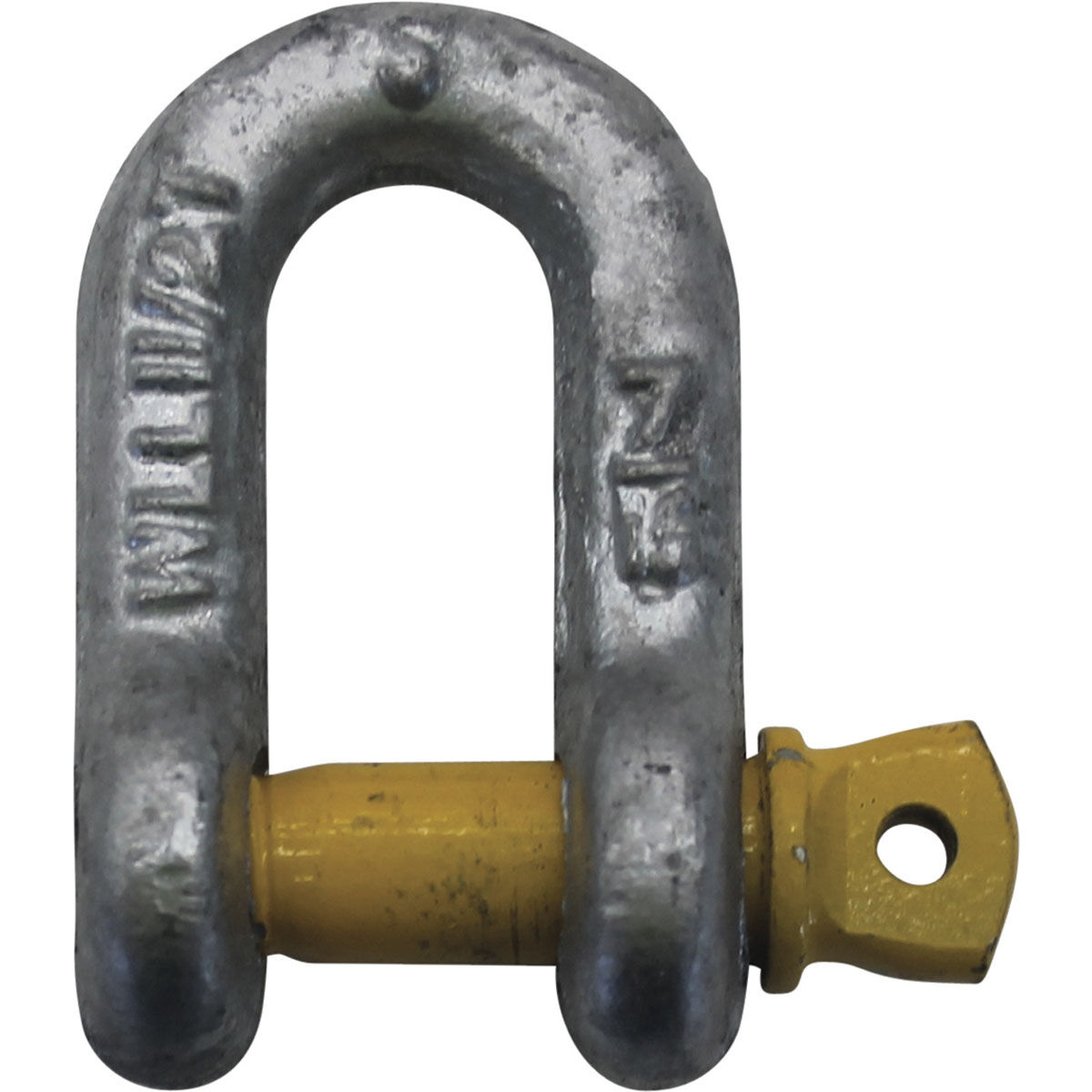 ARK Galvanised D Shackle 11mm | BCF