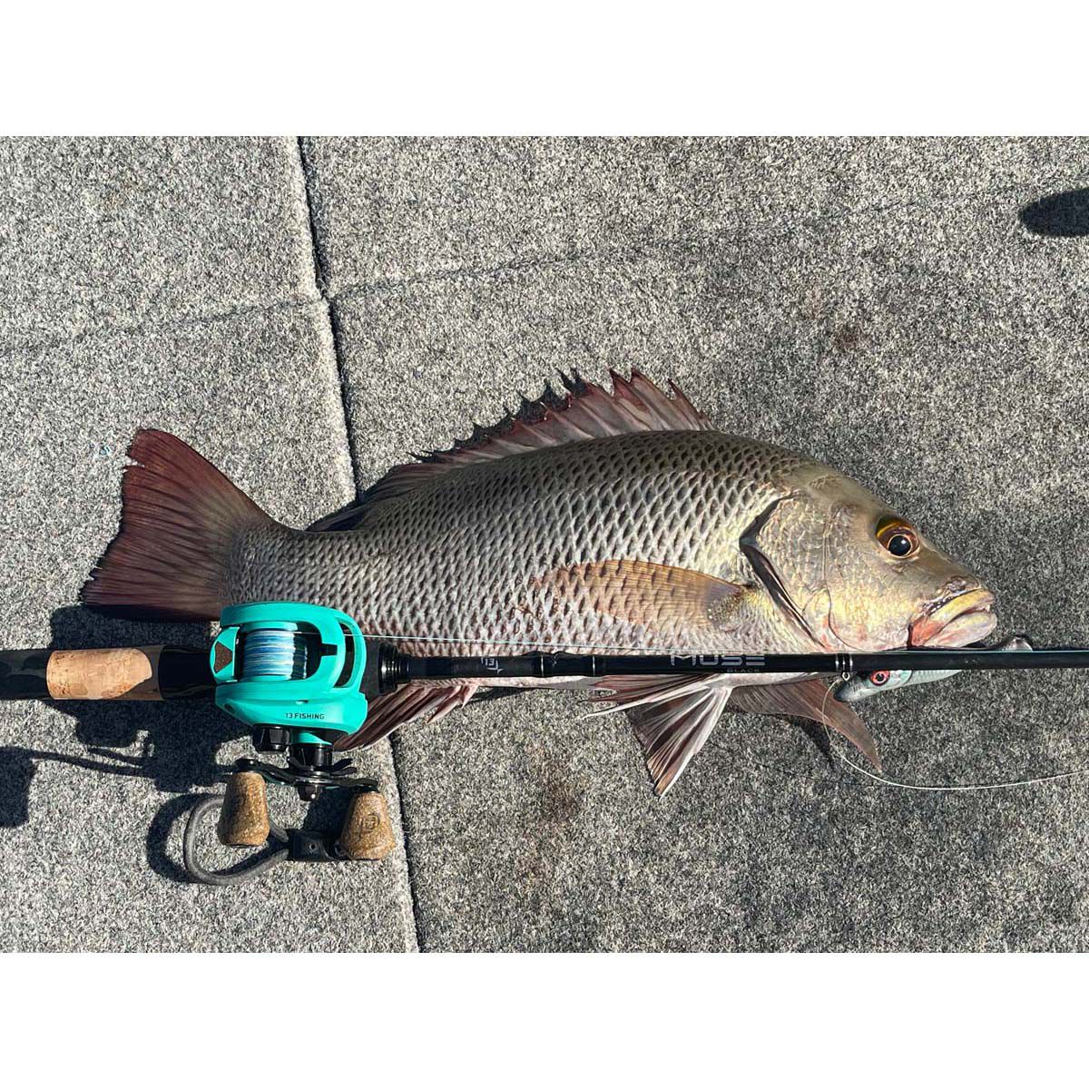 13 Fishing Concept TX Gen II 6.8 1 Baitcaster Reel | BCF