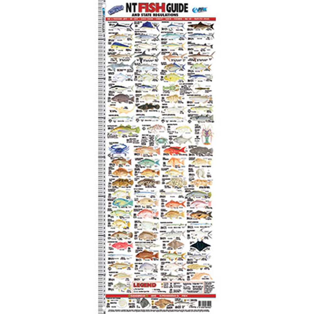 AFN Fish Ruler Guide NT | BCF