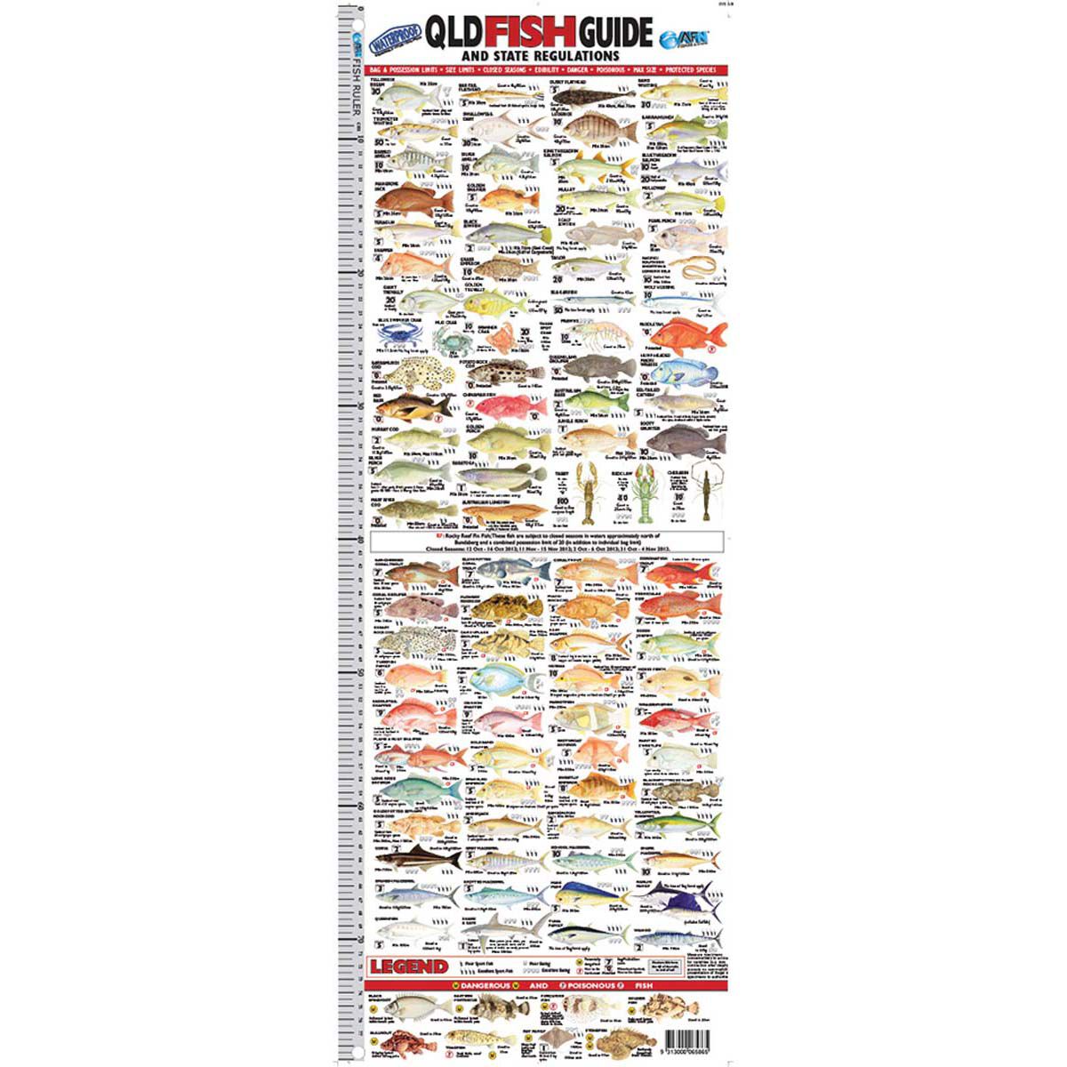 AFN Fish Ruler Guide QLD | BCF