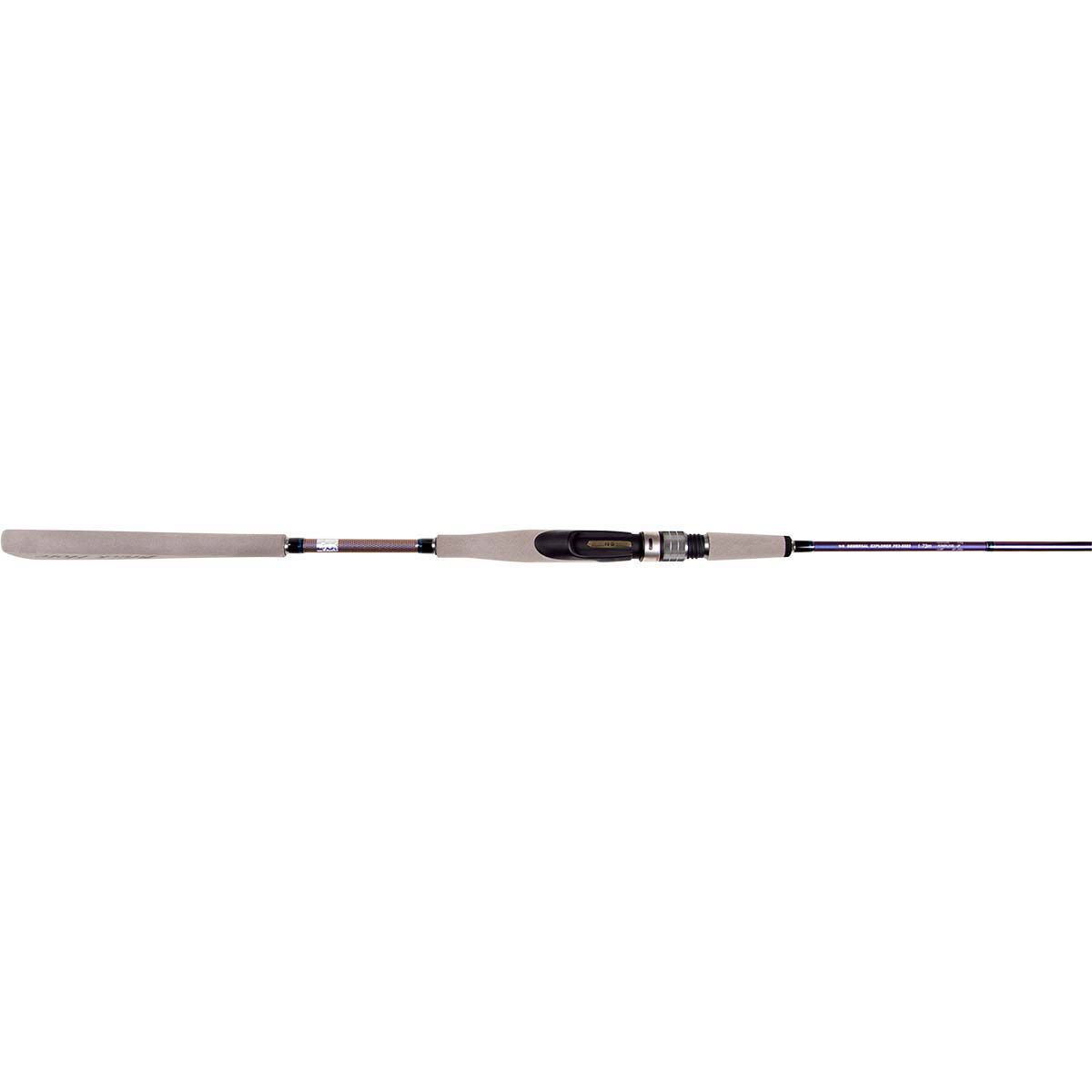 NS Black Hole Explorer Spinning Rod | BCF