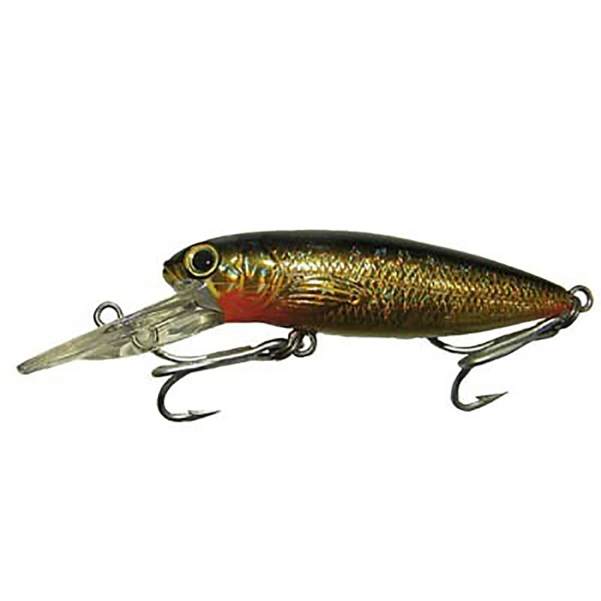 Reidy's Little Lucifer Deep Hard Body Lure 65mm Gold Black | BCF