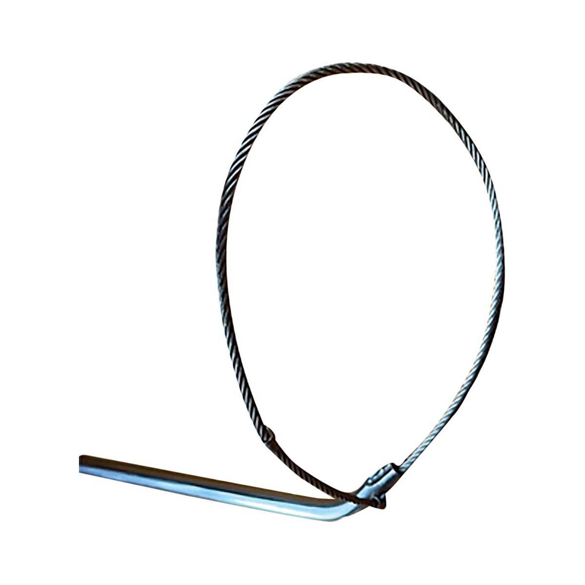 Odysseus Cray Loop Standard 1m | BCF