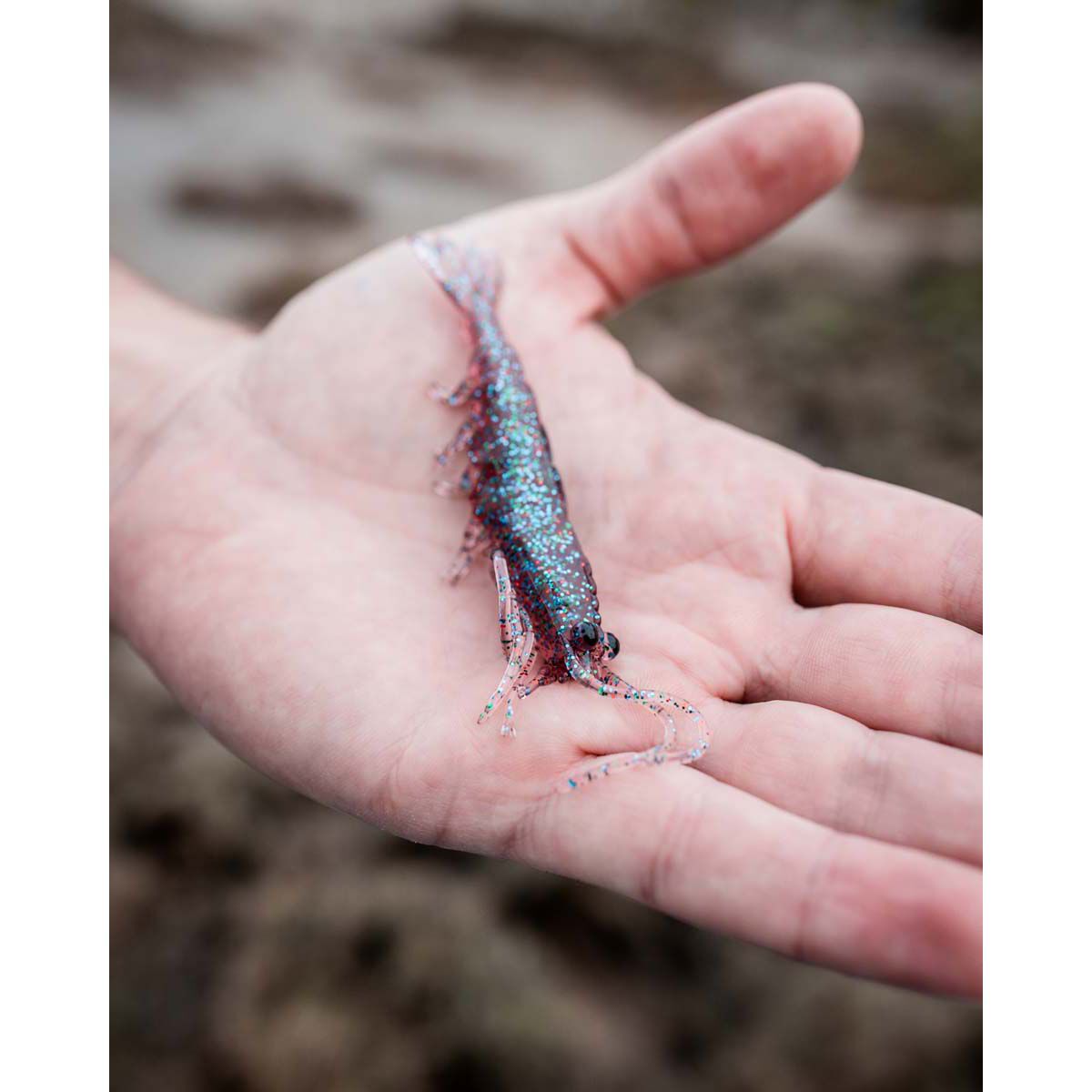 Pro Lure Clone Prawn Soft Plastic Lure 62mm Watermelon UV | BCF