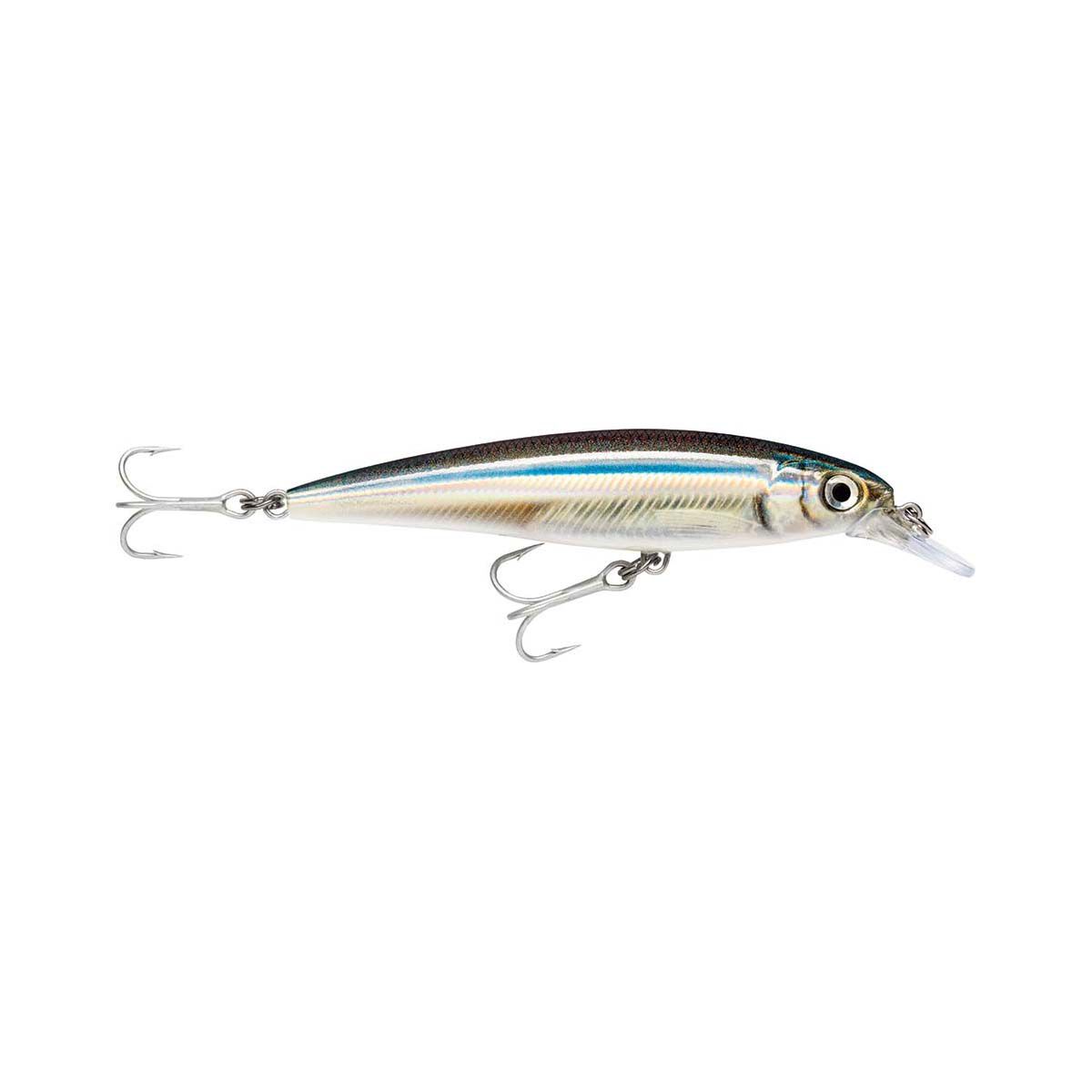 Rapala X-Rap Saltwater Hard Body Lure 10cm Anchovy | BCF