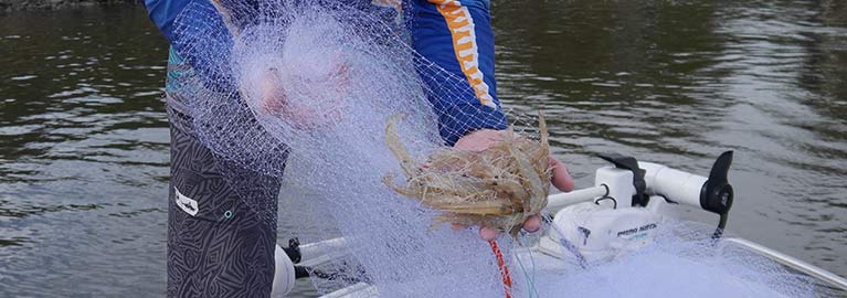 Casting a Prawn Net - Be A BCFing Expert | BCF Australia