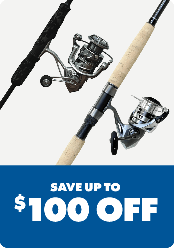 BCF – Australia's Greatest Boating, Camping & Fishing Store