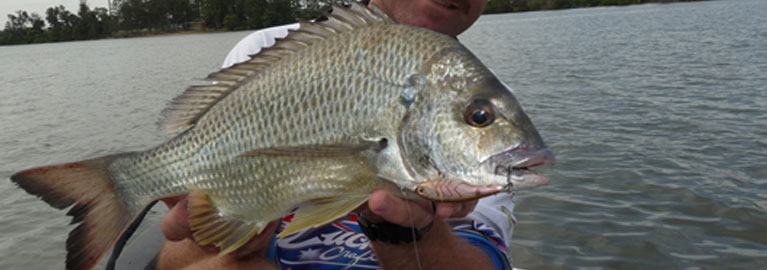 Bream edge fishing tactics and tips | Be a BCFING Expert