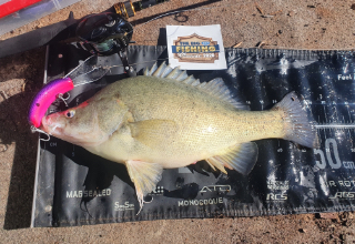 BCF Fishing Classic 2020 | BCF Australia