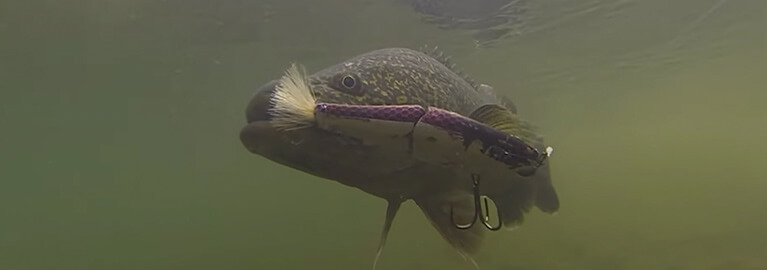 Gorge Cod Hiking Trip - Be A BCFing Expert | BCF Australia