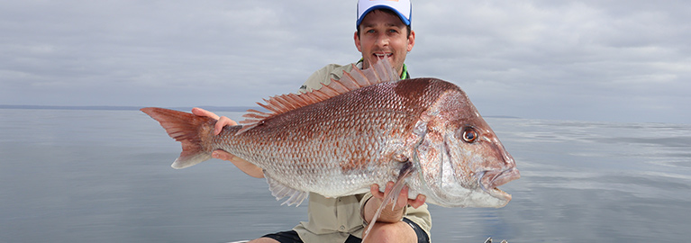 Port Phillip Bay Snapper Guide - Be A BCFing Expert | BCF Australia