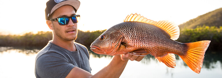How to catch Mangrove Jack - Be A BCFing Expert | BCF Australia