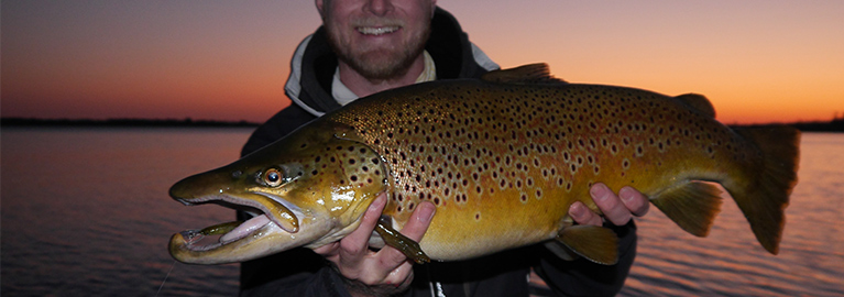 How to Catch Trout in Victoria | BCF'ing Experts Guide