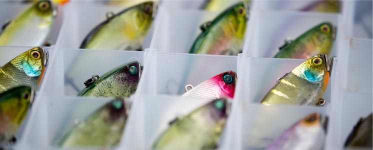 Selecting Hardbody Lures - Be A BCFing Expert | BCF Australia