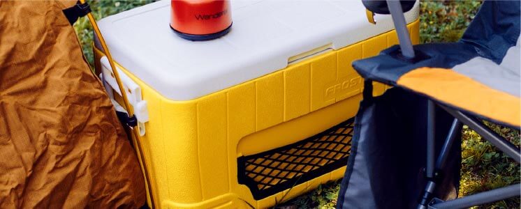 How to get the best use out of your icebox - Be A BCFing Expert | BCF ...