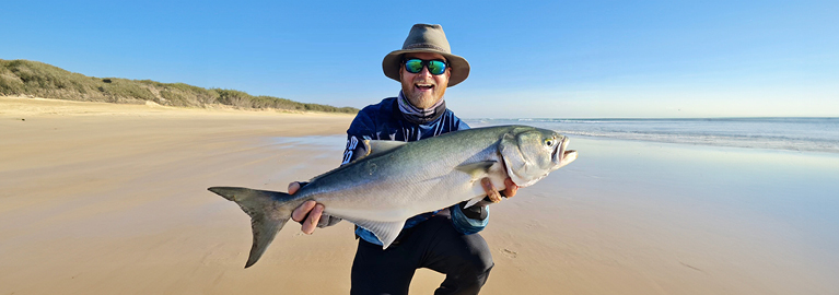 How to catch Tailor - Be A BCFing Expert | BCF Australia