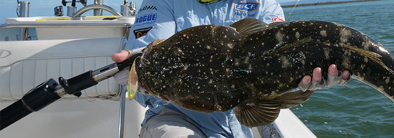 How to fish the tides for flathead | Be a BCFING Expert
