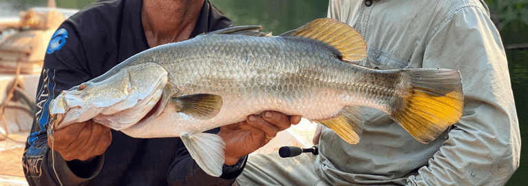 Planning a barra trip - Be A BCFing Expert | BCF Australia