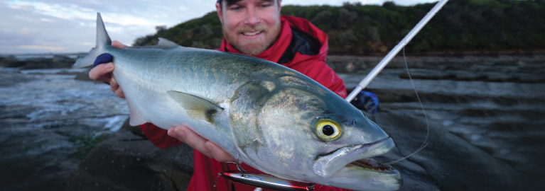 Tailor Tactics - Be A BCFing Expert | BCF Australia