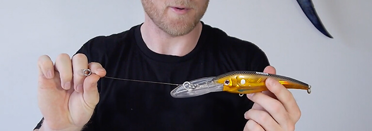 Bite Trace - Be A BCFing Expert | BCF Australia