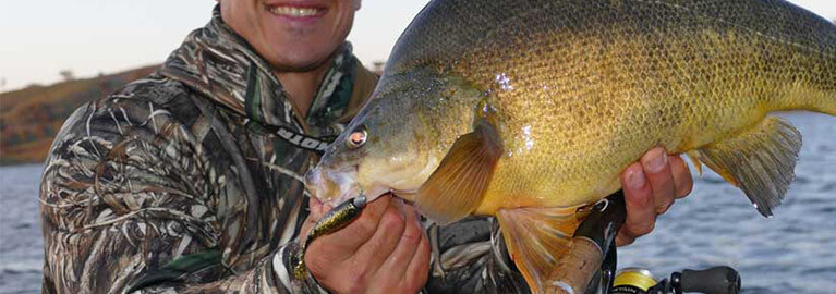 Fishing the edges for Golden Perch - Be A BCFing Expert | BCF Australia